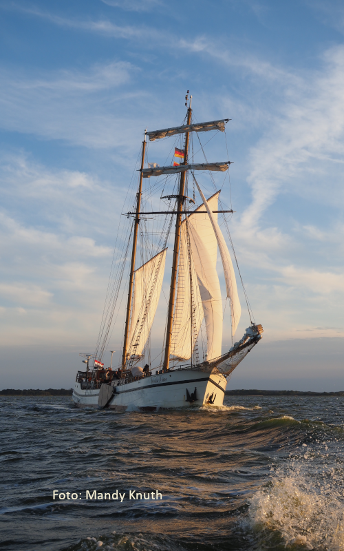 Segeltouren - Willkommen an Bord